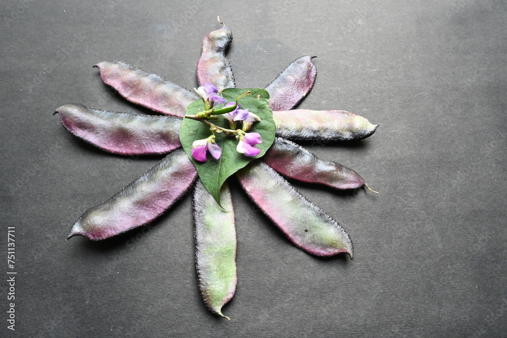 Lablab purpureus vegetable on black background. Its other names lablab ...
