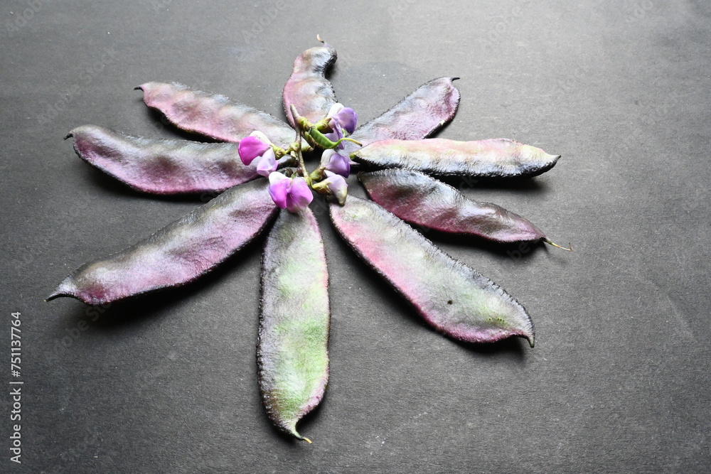 Lablab purpureus vegetable on black background. Its other names lablab ...