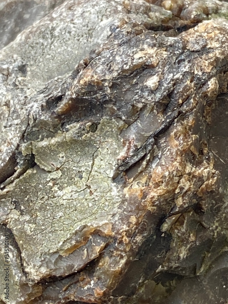 Ambergris whale vomit used in perfume making it is made by sperm whale ...