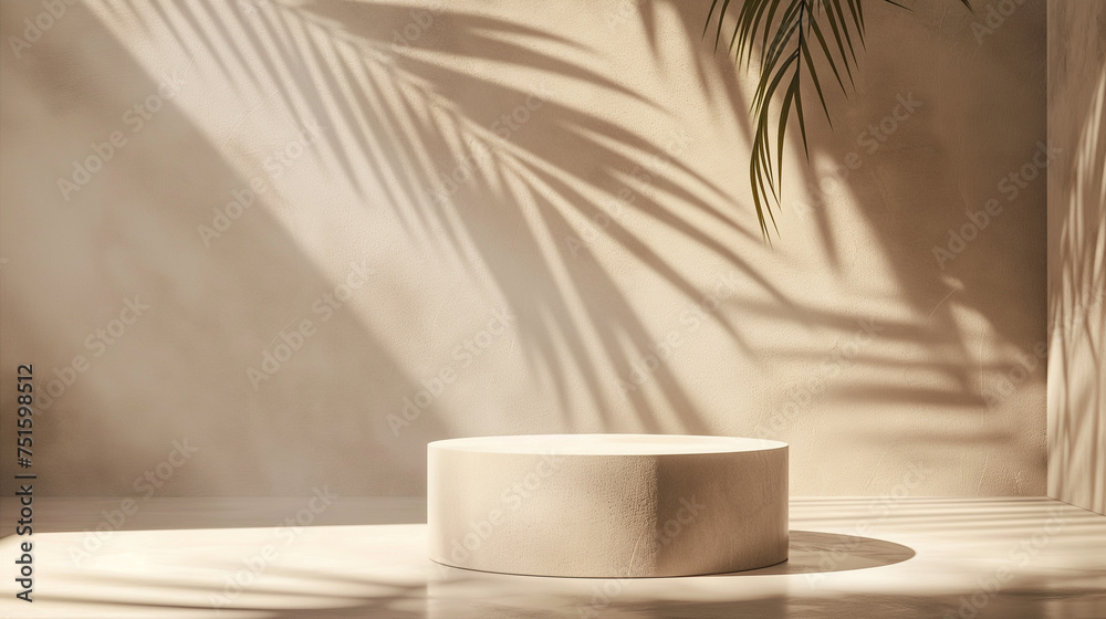 Simple plaster wall background with a product placement palm shadow ...