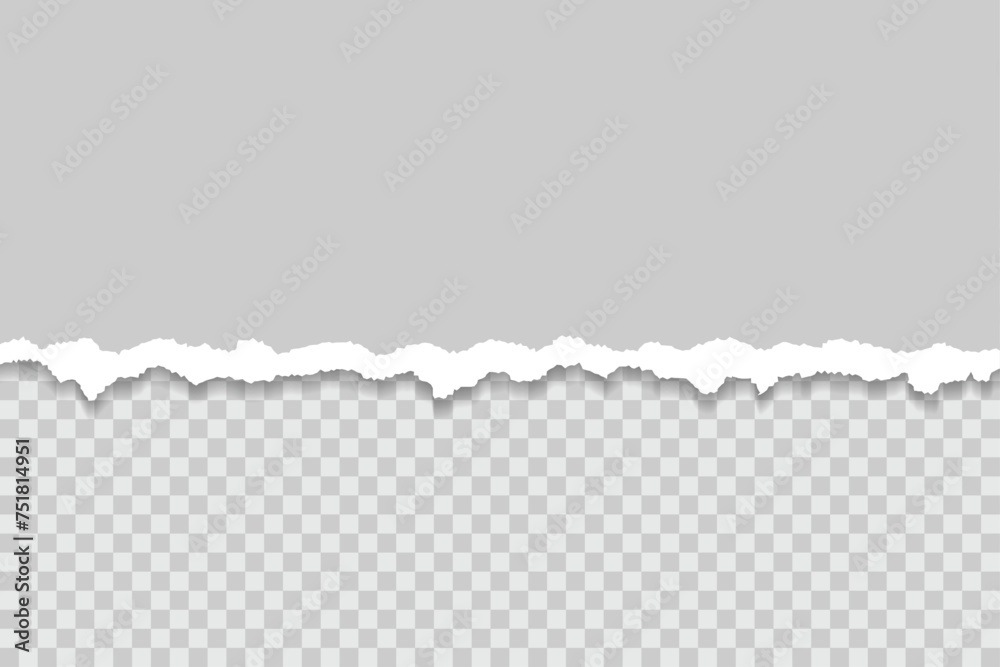 long piece of torn papers transparent background realistic torn paper ...