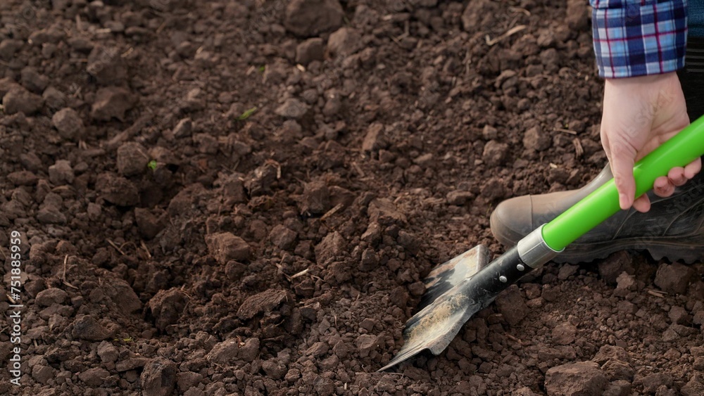 Farmer, gardener, man, woman in rubber boots dig earth with shovel in ...
