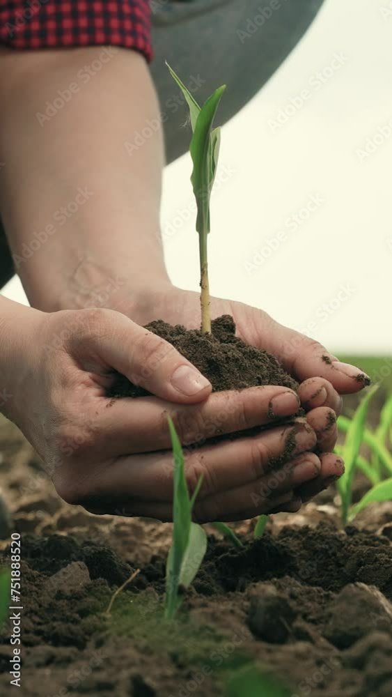 Growth time plants. Water flows down arm, drips into ground, waters ...