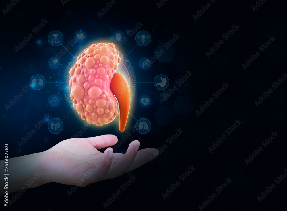 Medical care for kidney problems. The Nephrologist doctor studies and ...