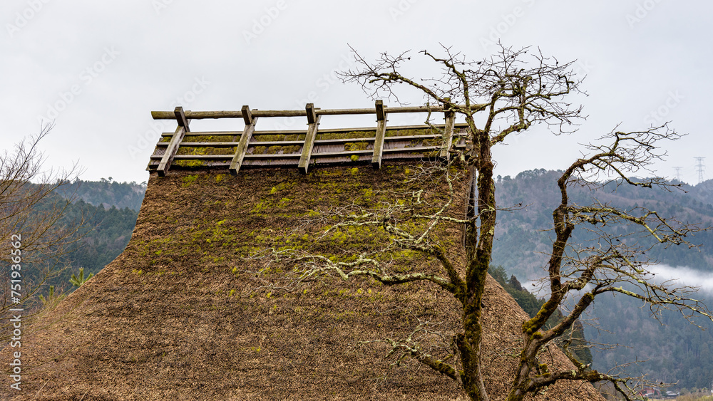 Traditional thatched roof houses of Miyama village in Kyoto Prefecture ...