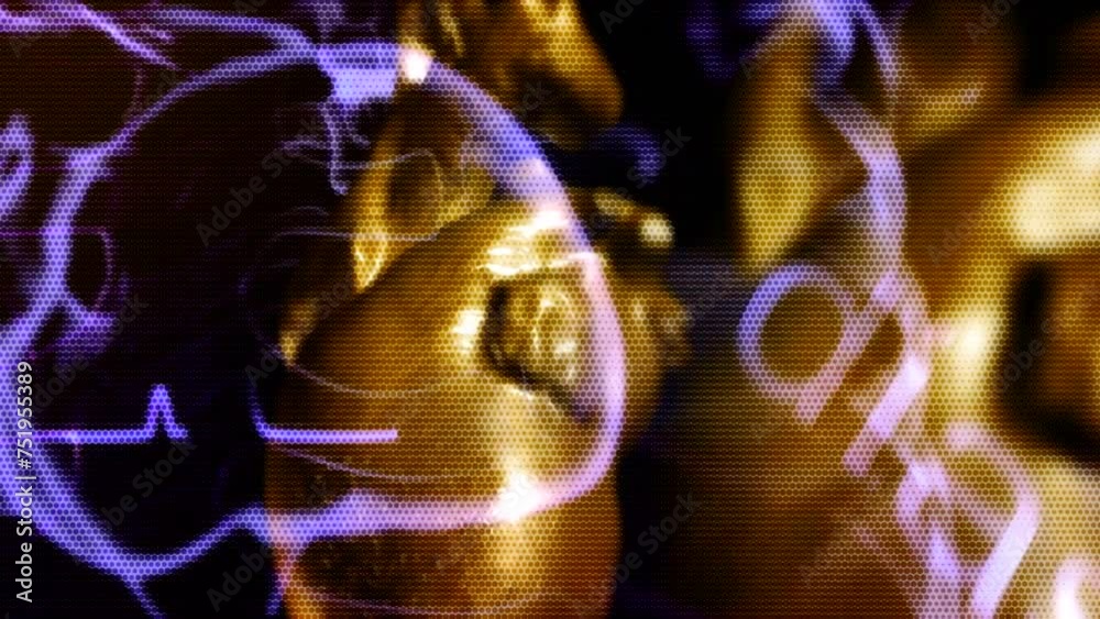 animated moving motion background showing anatomy of a human heart ...