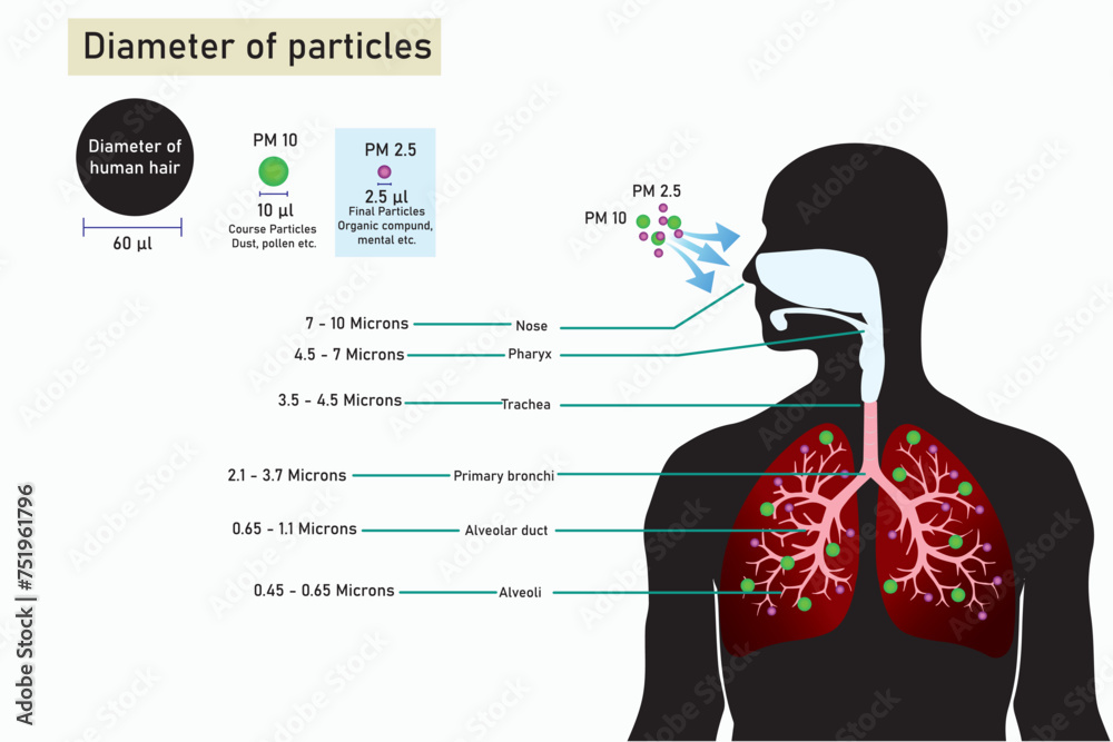 Breathing unhealthy levels of pollution from fine particulates (PM2.5 ...
