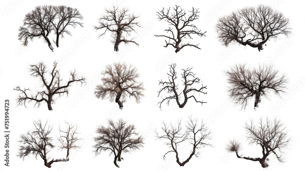 From above death trees set cutout isolated on transparent background ...