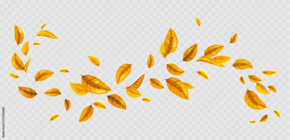 Flying yellow leaf curly wave line on transparent background. Realistic ...