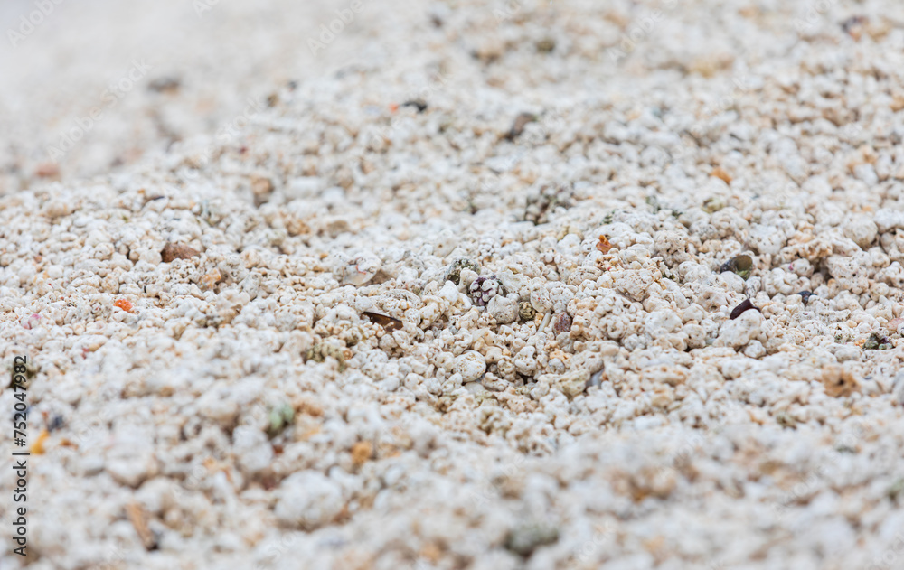 Red Algal Nodules Beach in Udo Island. Red algae nodules are one of the ...