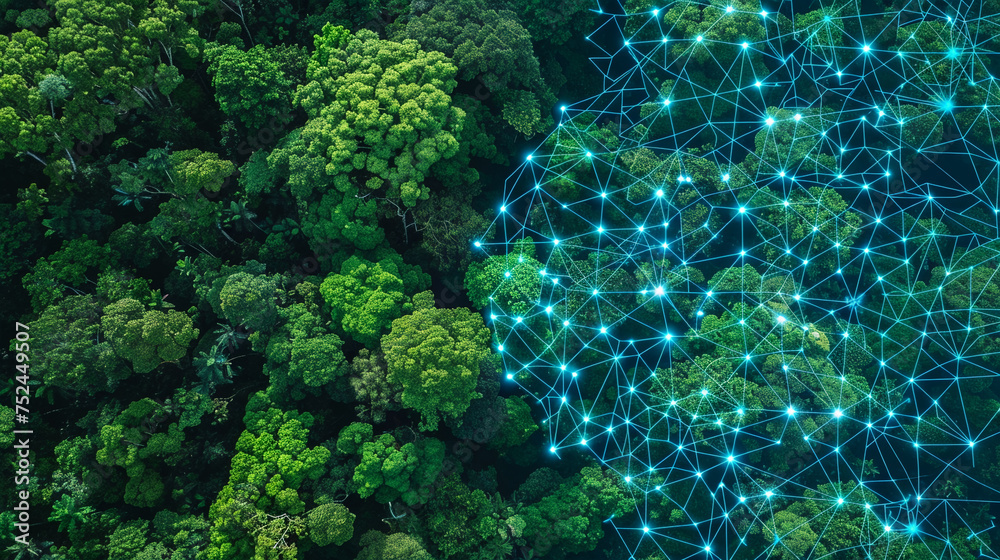 South America: Highlighting the Amazon Rainforest's IoT applications ...