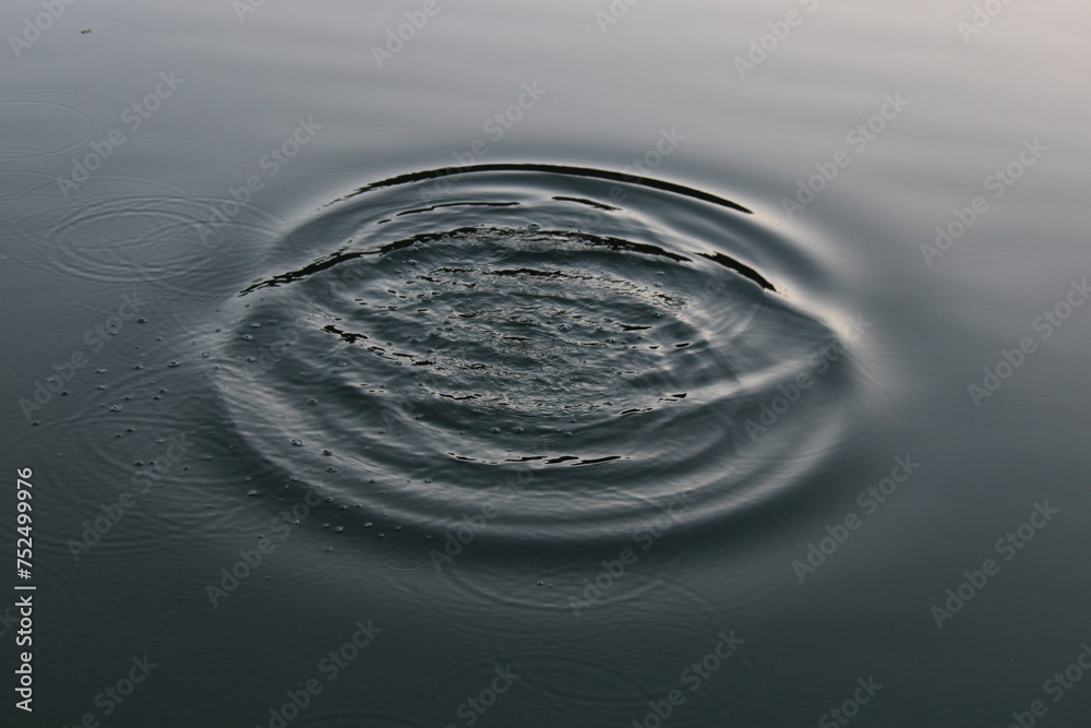 Round droplets of water over circles on the lake. Water drop, whirl and ...