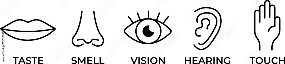 Five senses vector icons set on transparent background. Hearing, touch ...