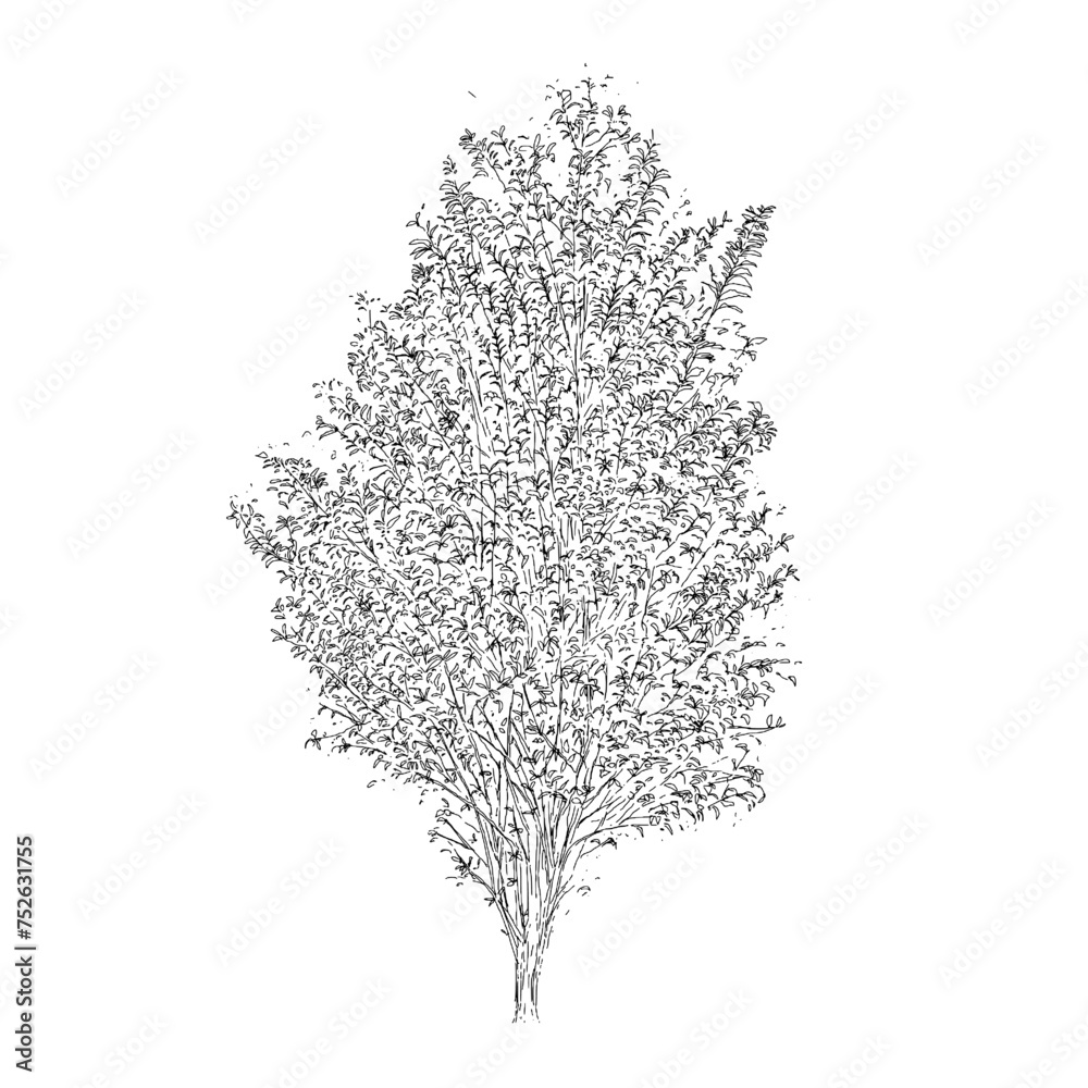 Minimal style cad tree line, Side view, set of graphics trees elements ...