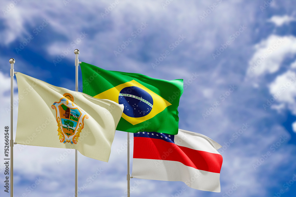 Official flags of the country Brazil, state of Amazonas and city of ...