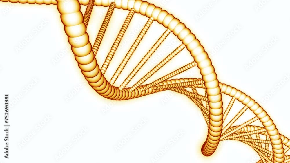 Simple rotating dna chain on white background. Design. Animation of ...