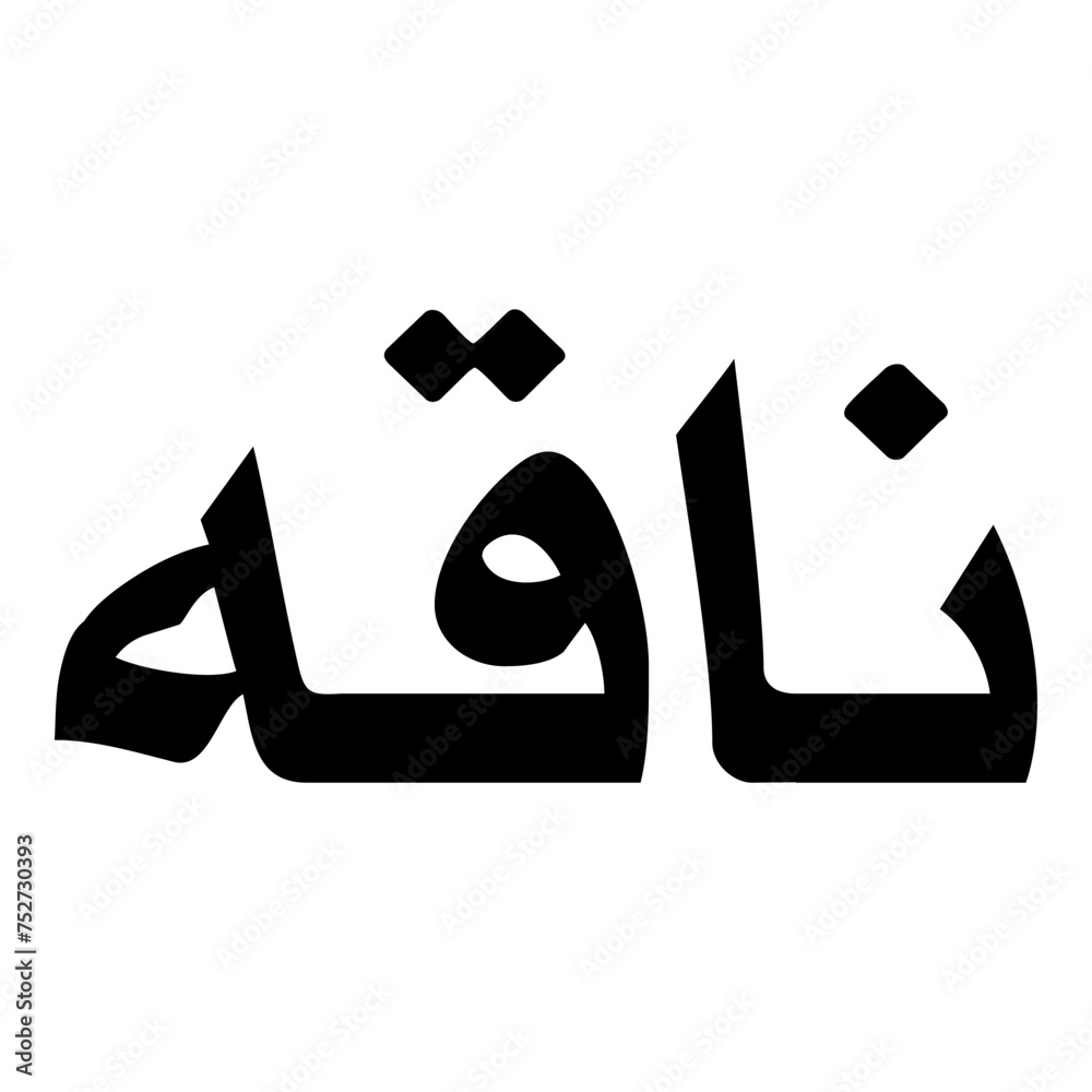 Naqa Muslim Girls Name Naskh Font Arabic Calligraphy Stock Vector ...