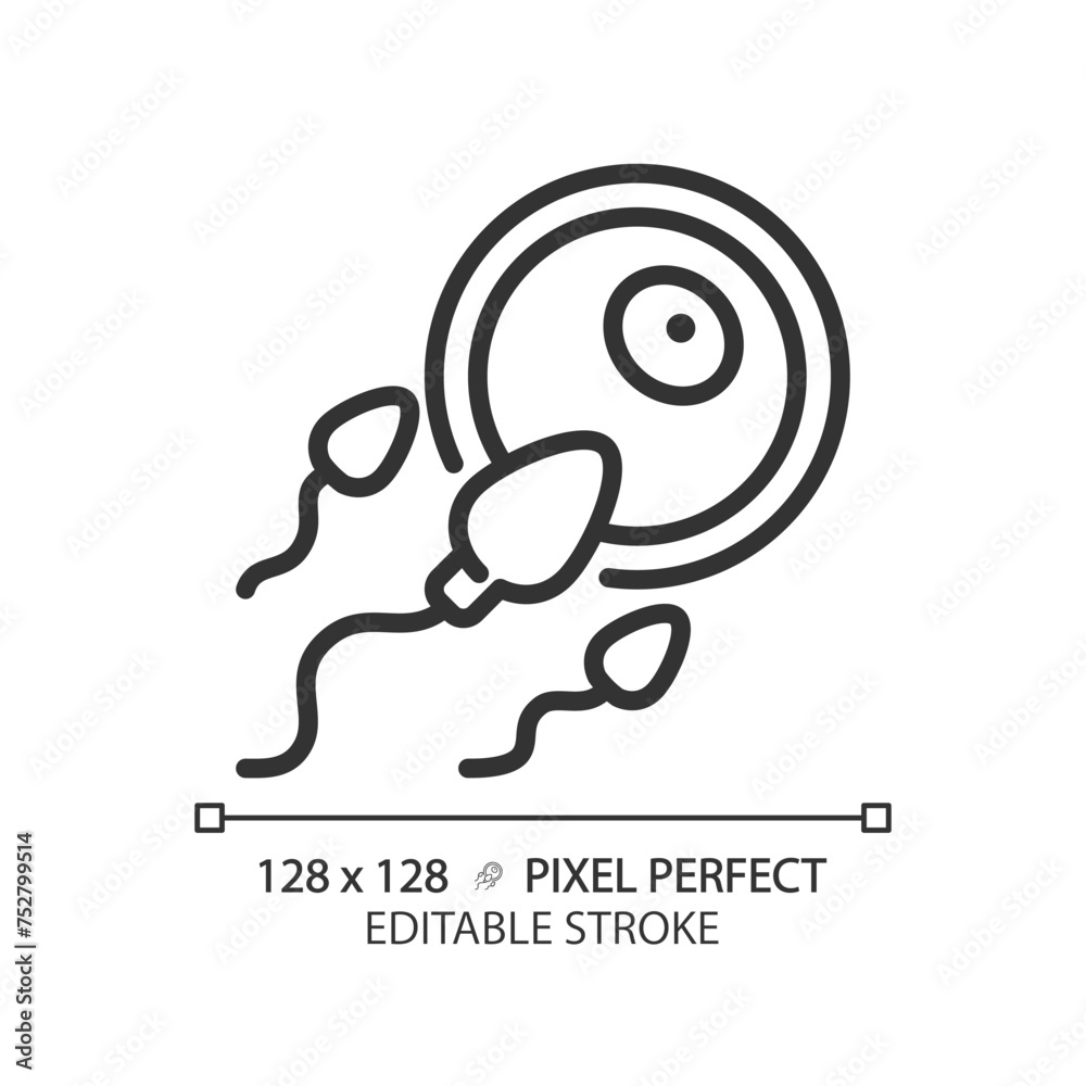 Fertilization linear icon. Fertility ovulation, insemination. Human ...