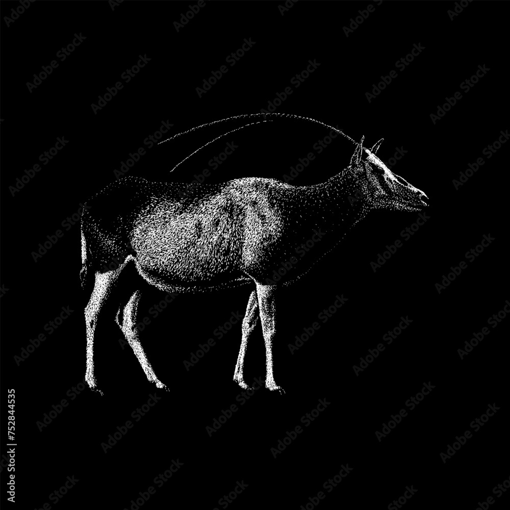 Scimitar-horned Oryx hand drawing vector isolated on black background ...