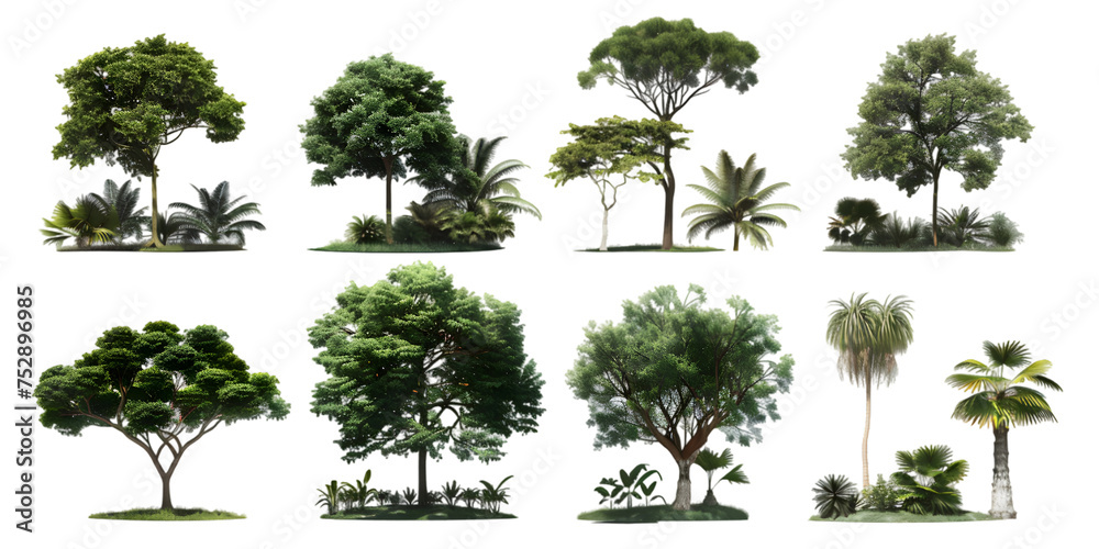 Jungle rain forest trees shapes cutout 3d render png set isolated on ...