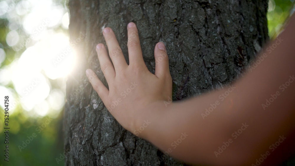 hand touches a tree in a forest park. travel nature protection ...