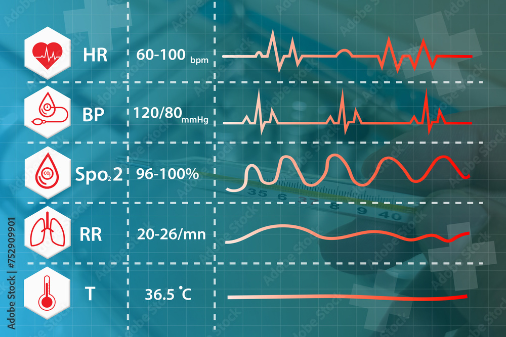 pulse line,pulse line icon vital signs, 5 basic medical vital signs ...