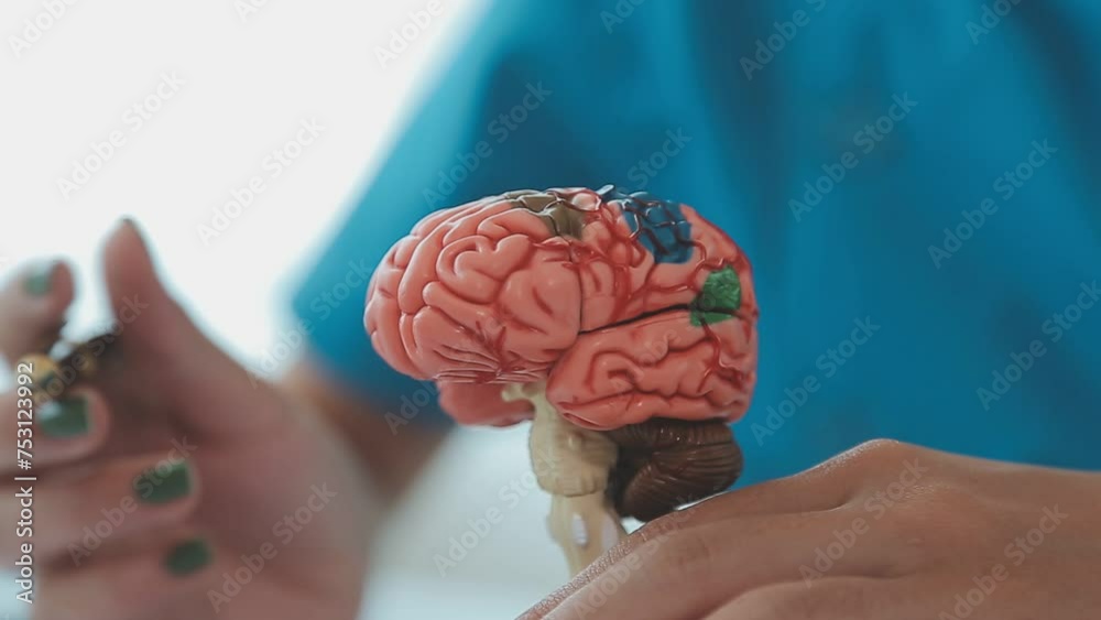 Vidéo Stock Neurologist hand pointing brain anatomy human model and ...