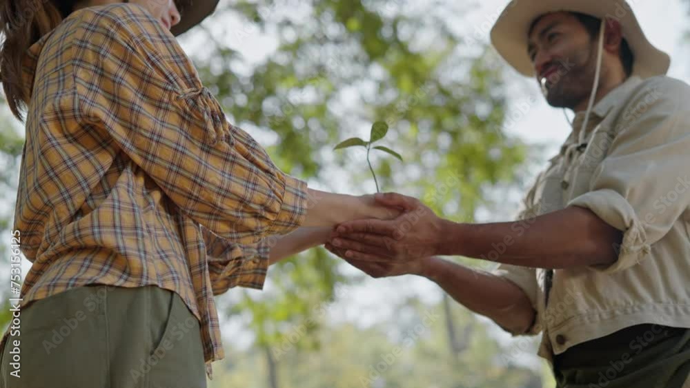 environment Earth Day In the hands of trees growing seedlings.couple ...
