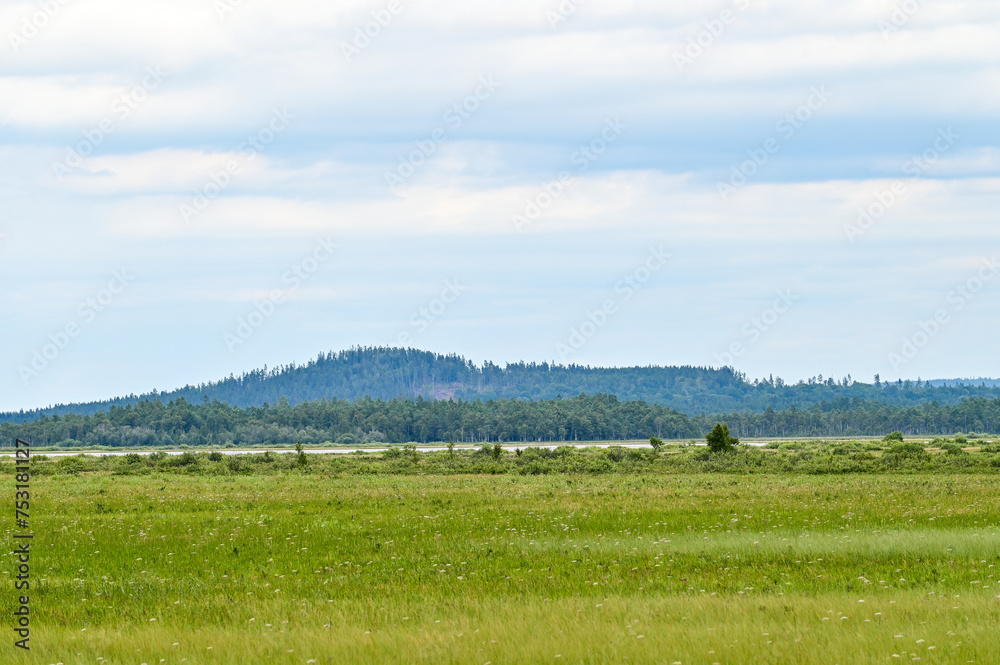Typical landscape of the Store Mosse National Park as the largest moor ...