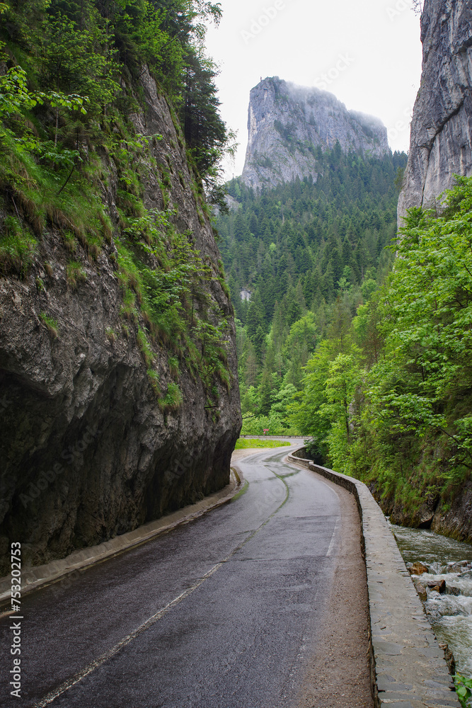 Amazing summer view of Bicaz Canyon/Cheile Bicazului. Canyon is one of ...