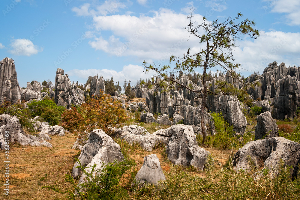 Dramatic Karst limestone geologic formations like stoine teeth in Stone ...