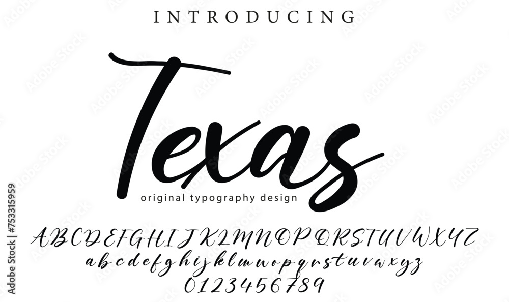 Texas Font Stylish brush painted an uppercase vector letters, alphabet ...