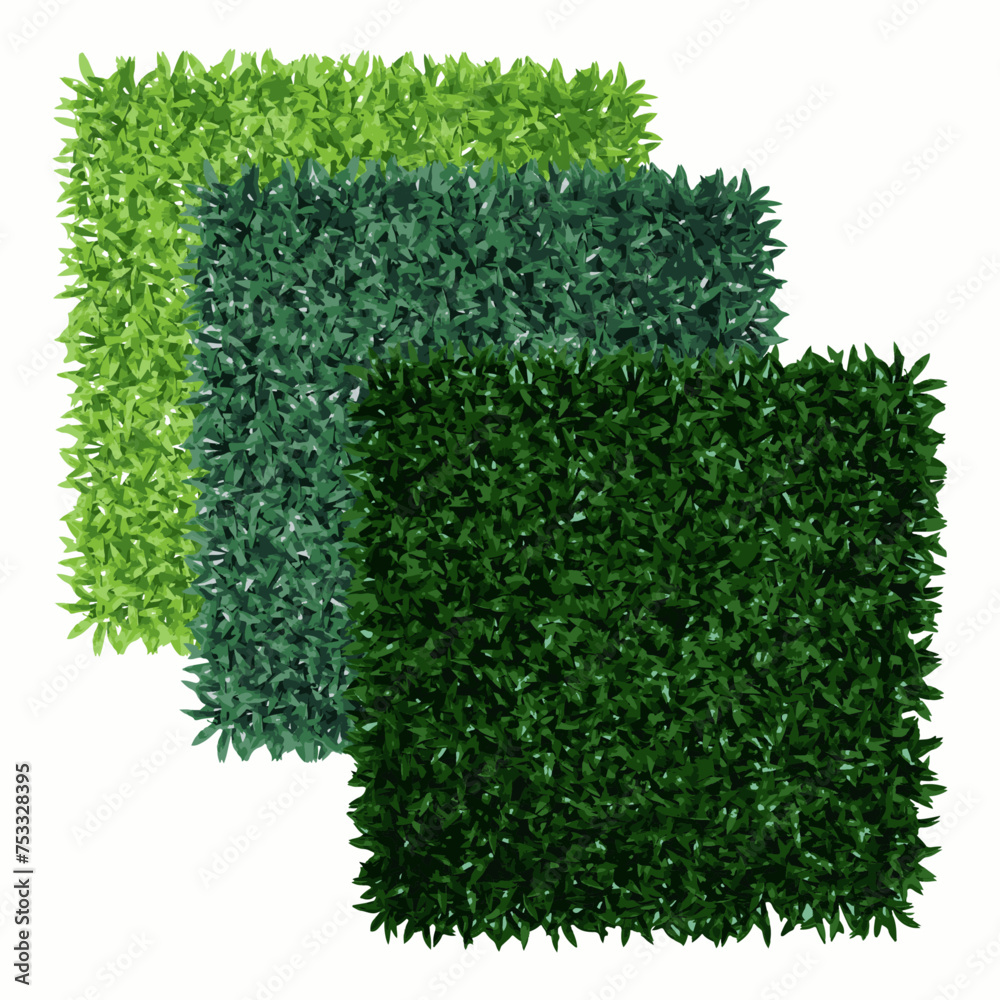 Shrubs collection on white background. Realistic shrubs set on white ...