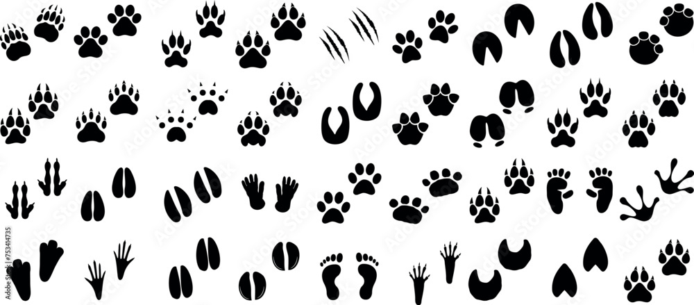 animal paw print Vector illustration, diverse animal tracks, wildlife ...