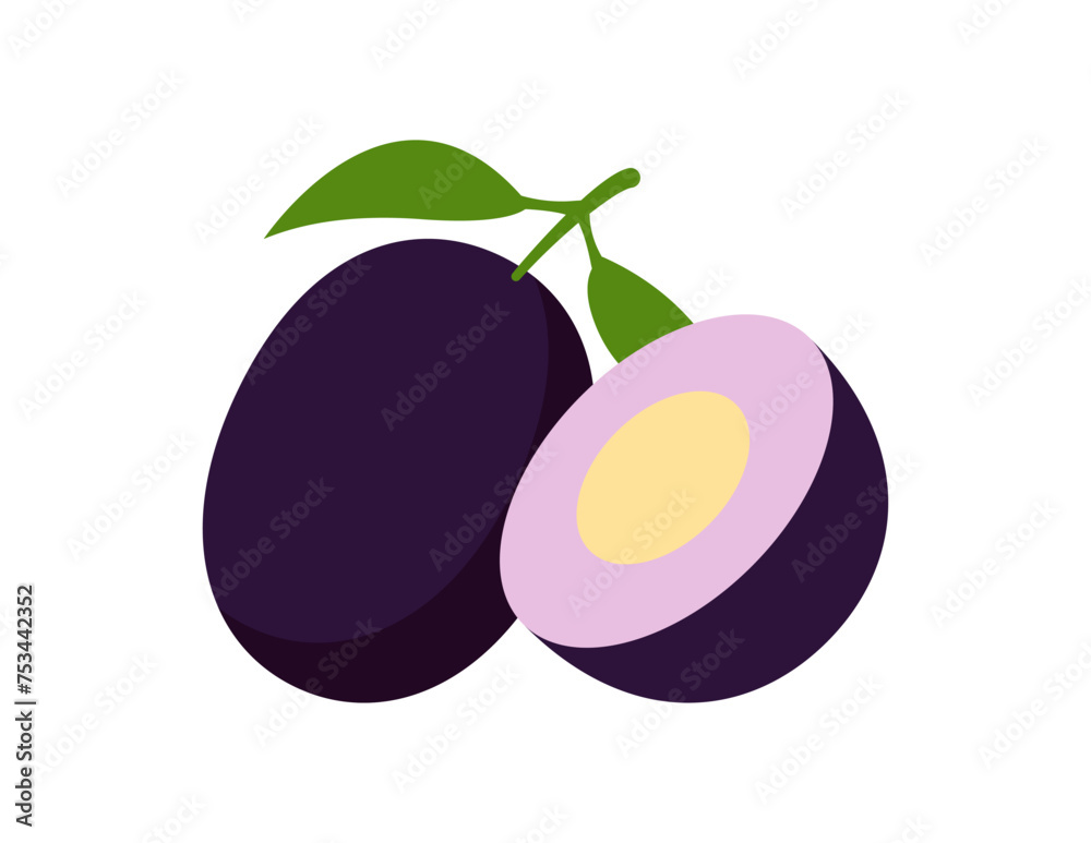 jamun fruit illustration for coloring book template, jamun fruit for ...