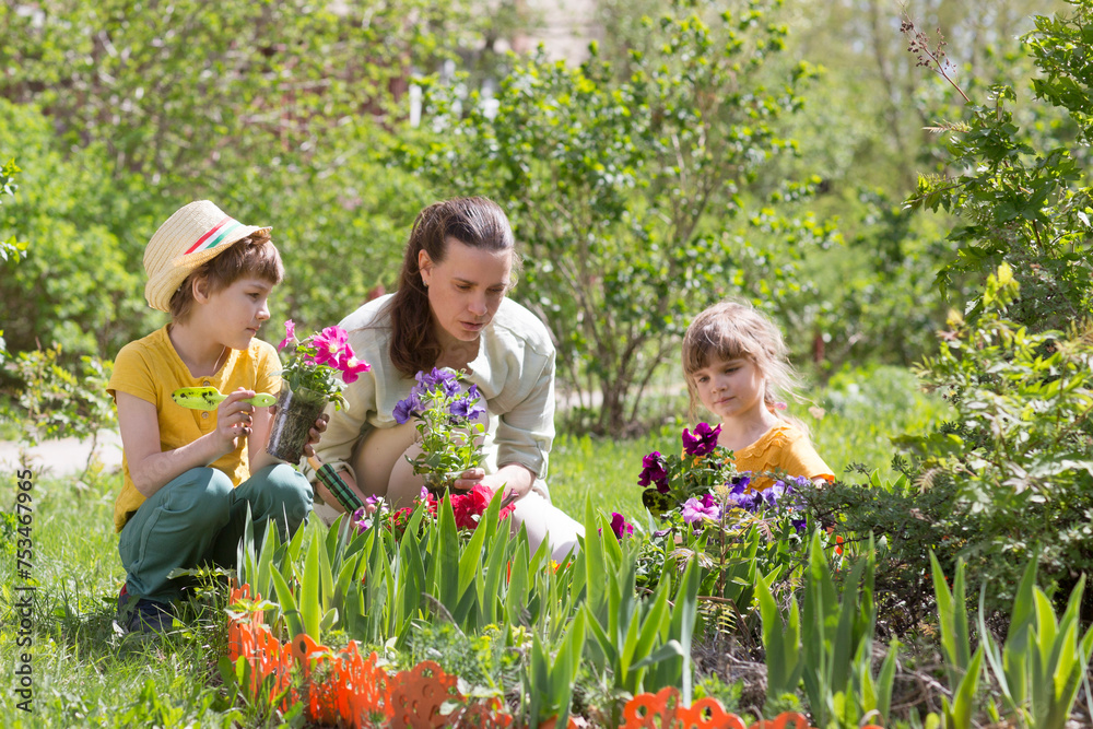 mother and and two children daughter and son plant flowers in the ...