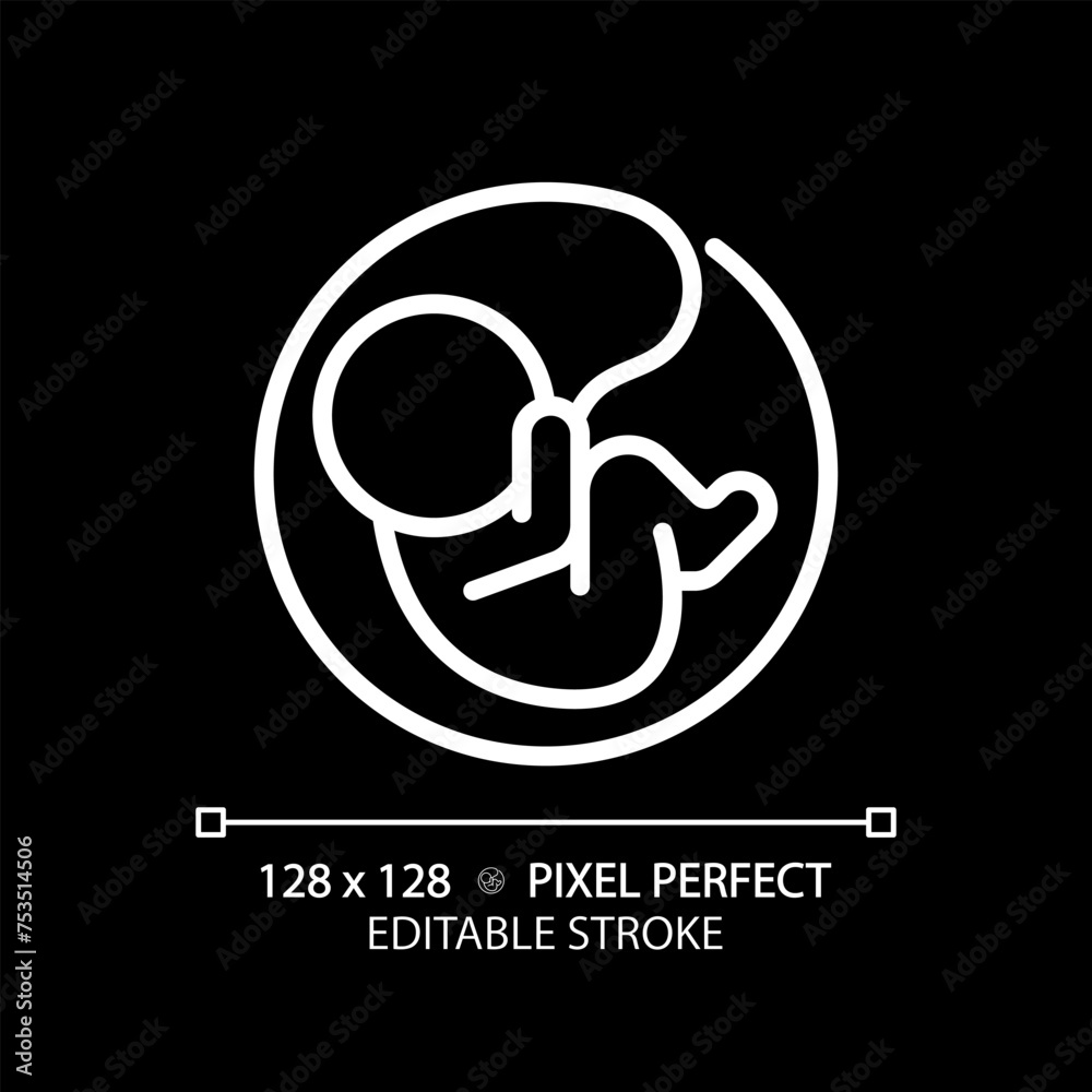 Embryo white linear icon for dark theme. Pregnancy anatomy. Human ...