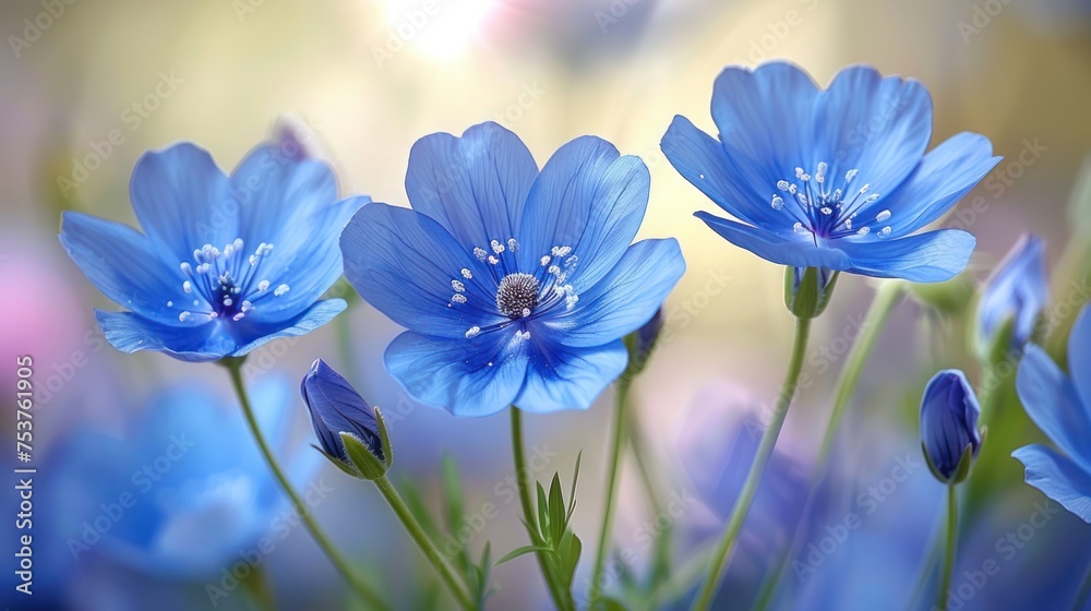 a bunch of blue flowers that are in some kind of flowery plant with ...