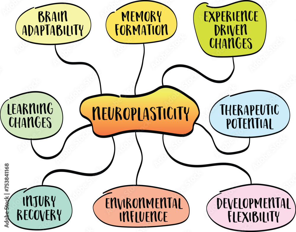 neuroplasticity, brain's ability to adapt and reorganize itself by ... neuroplasticity, brain's ability to adapt and reorganize itself by ...