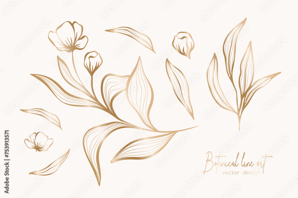 Botanical elegant gold line art illustration of flower leaves branch ...