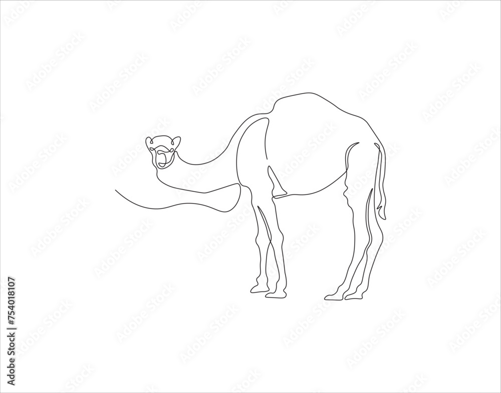 Continuous Line Drawing Of Camel. One Line Of Arabian Camel. Camel In ...