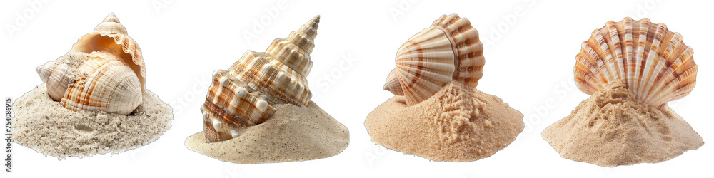 Sea shell in sand pile Hyperrealistic Highly Detailed Isolated On ...