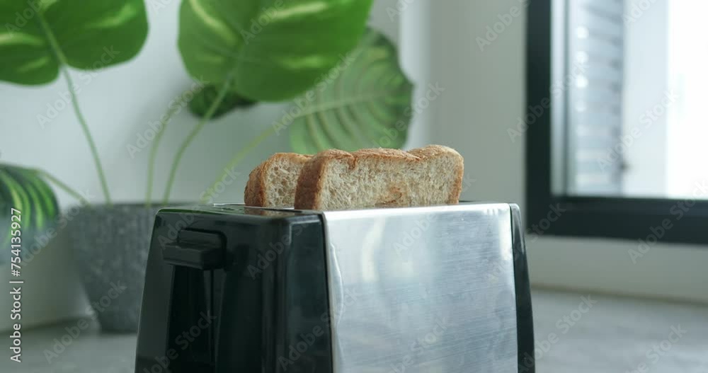 Two freshly made toasts spring from toaster windowsill beside flower ...