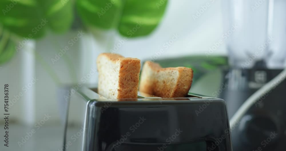 Toaster crafts two fresh, crispy pieces against flower backdrop ...