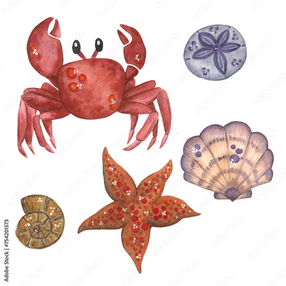 Hand drawn watercolor illustration. Set of sea animals, crab, sea ...