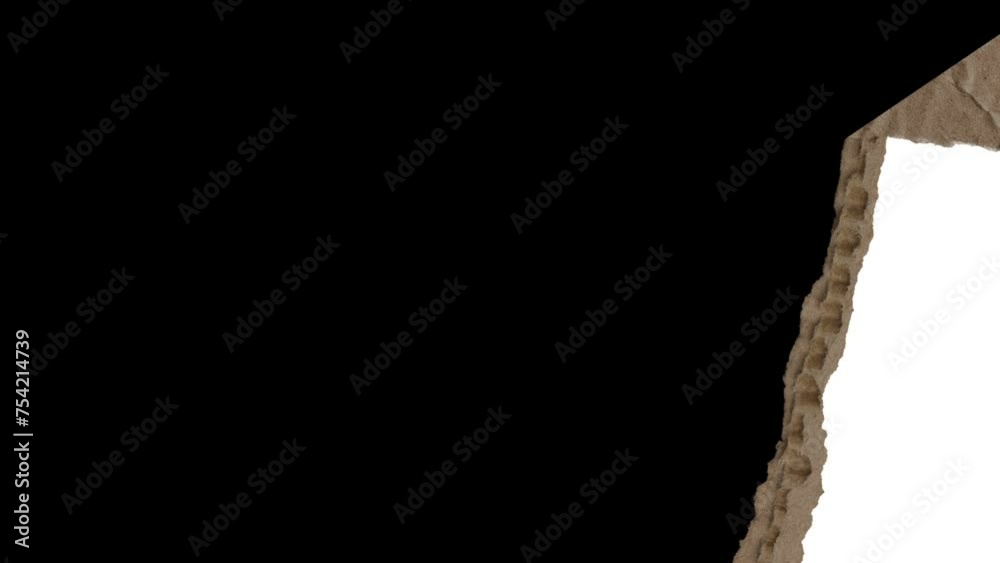The torn paper transition animation pack is on a black background. Torn ...