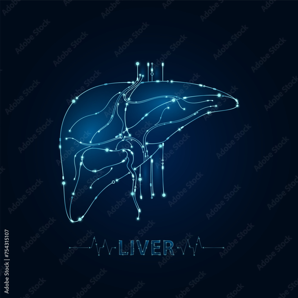 Liver human in electronic form glowing between information connecting ...