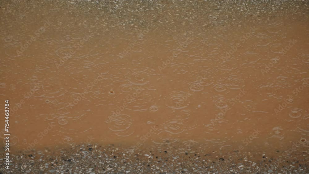 Drops of heavy rain fall on dirty puddle on asphalt closeup. Dirty ...