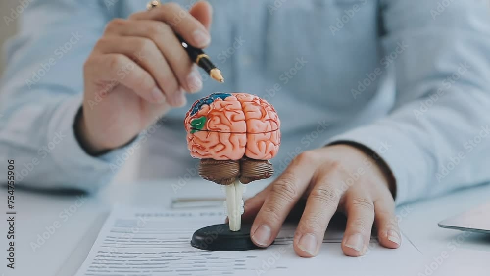 Neurologist hand pointing brain anatomy human model and brain disease ...