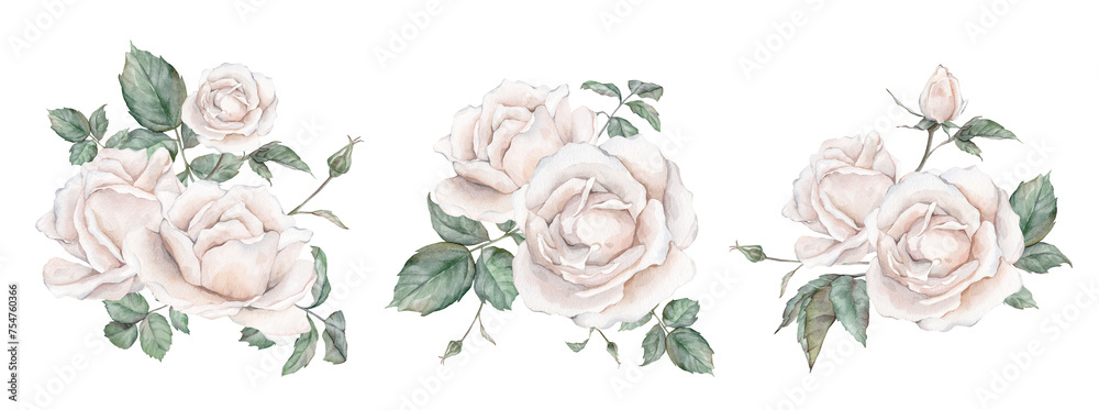 Set of white cream rose, collection garden flowers, leaves. Clipart ...